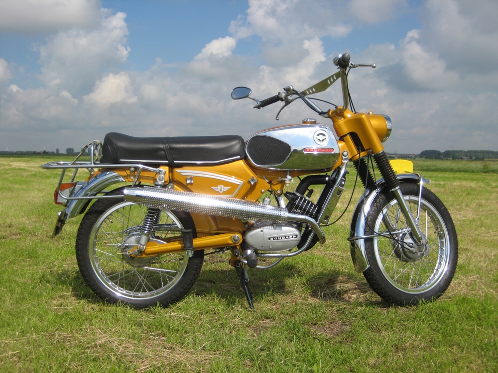 Brommers – ruudgroen.nl